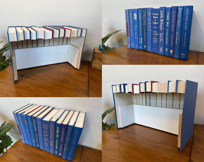Undercover Complete Book Hidden Storage Solution for Hiding Modem ...