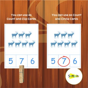 Winter Count and Clip Cards 1-20, Instant Download, Montessori Card ...