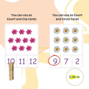 Flower Count and Clip Cards Flashcard 1-20 Instant Download ...