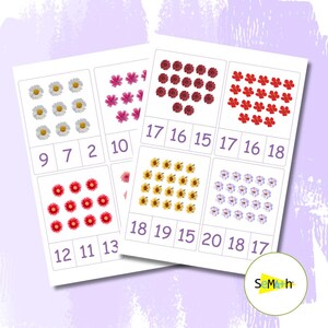 Flower Count and Clip Cards Flashcard 1-20 Instant Download ...