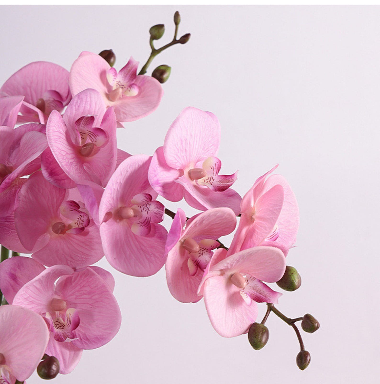 Single Stalk Artificial Orchids Real Touch - Etsy