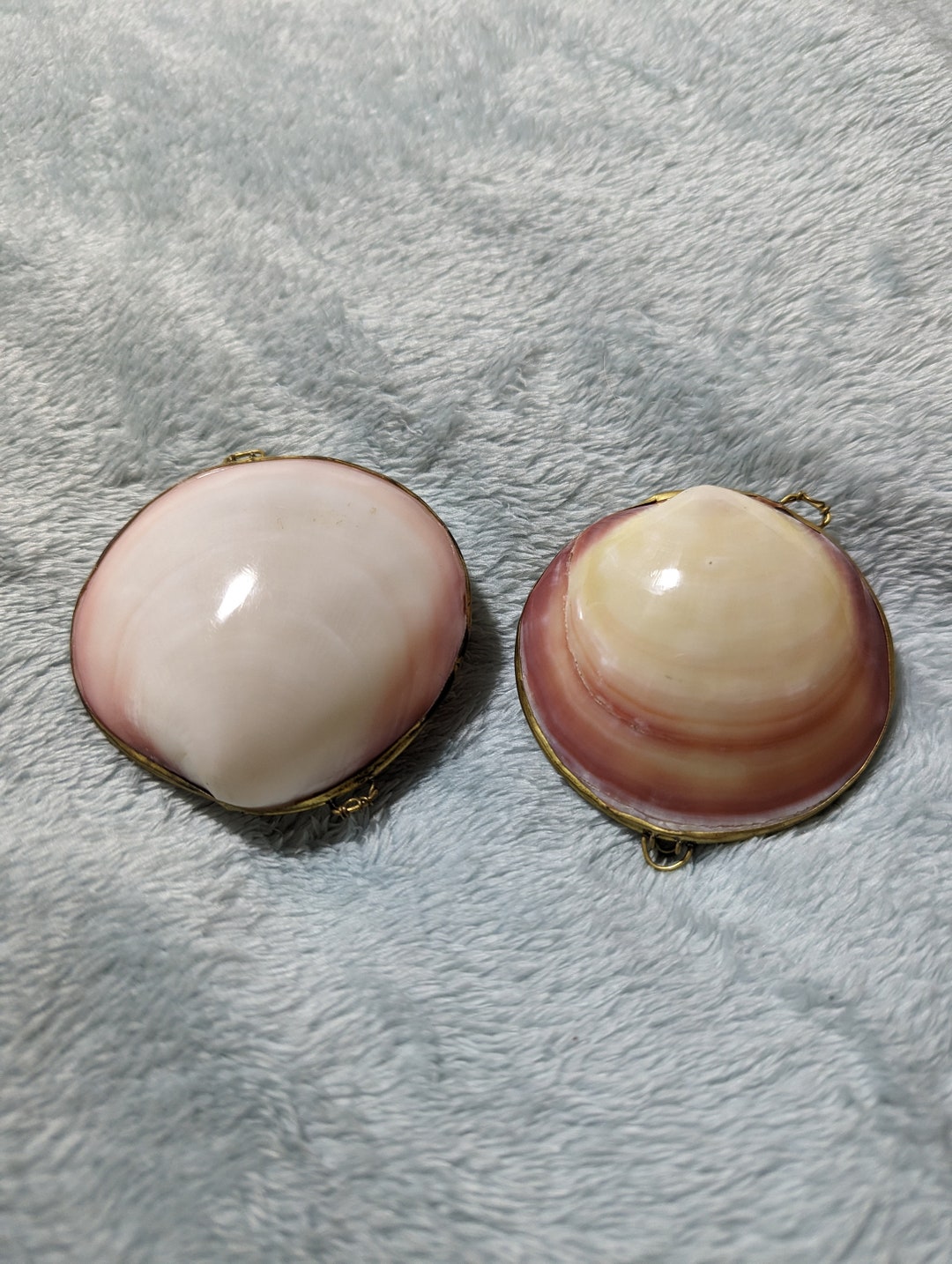 A Pair of Brass Hinged Shells - Etsy