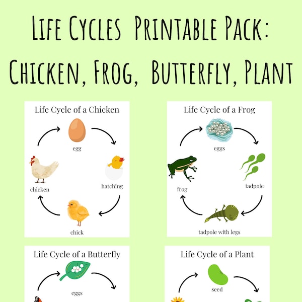 Frog Life Cycle - Etsy