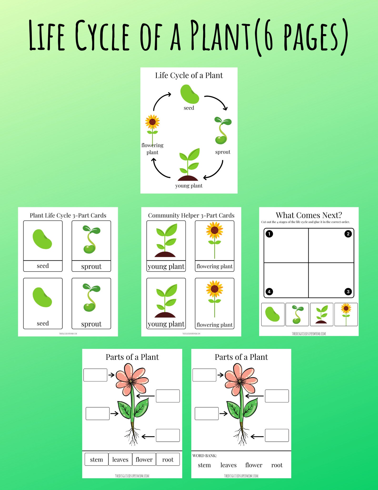 Life Cycles Printable Pack - Etsy