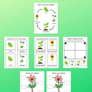 Life Cycles Printable Pack - Etsy