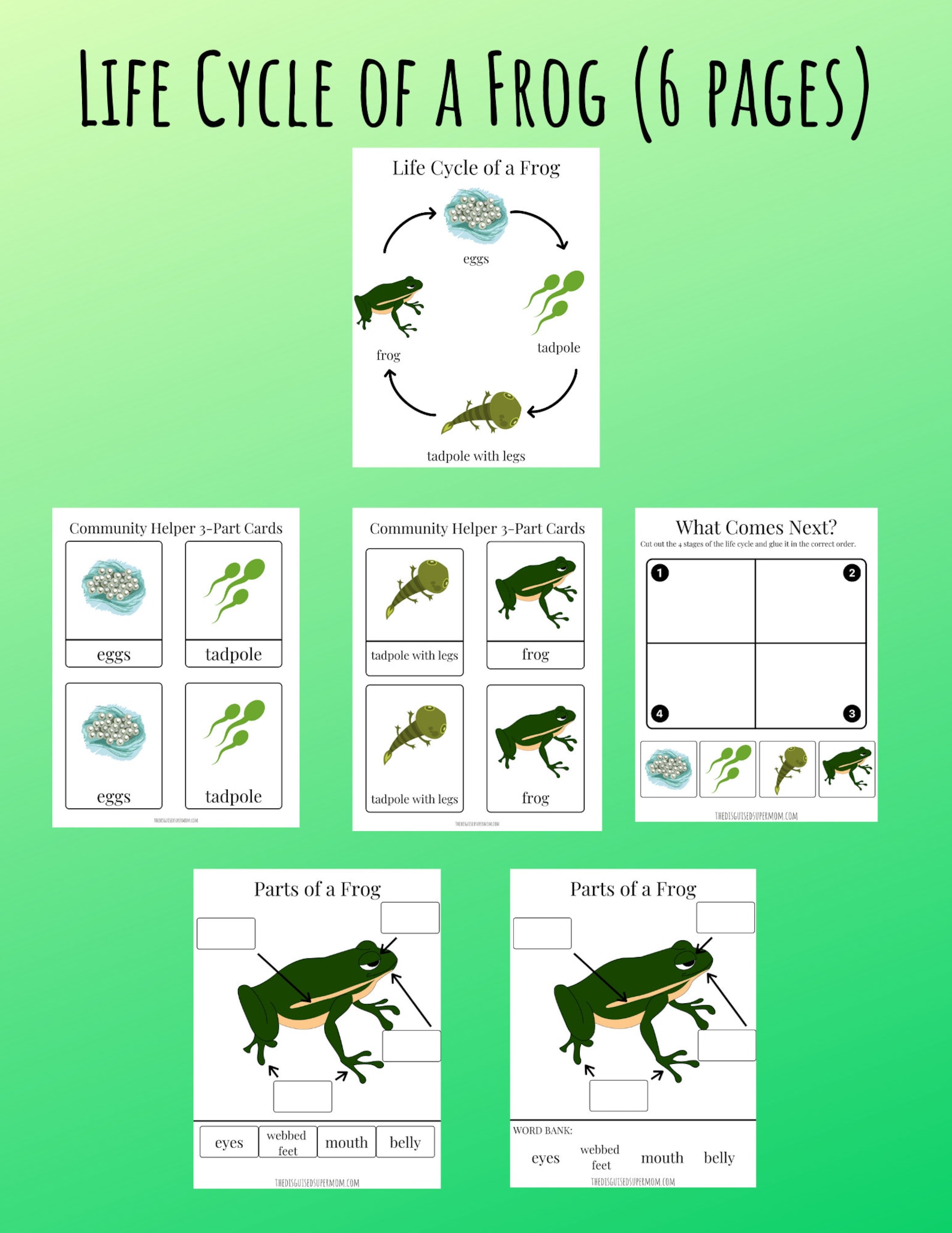 Life Cycles Printable Pack - Etsy