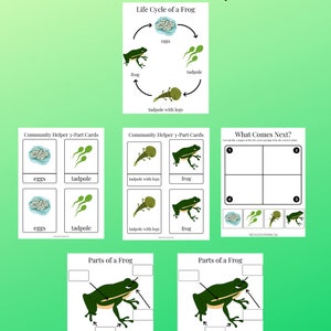 Life Cycles Printable Pack - Etsy