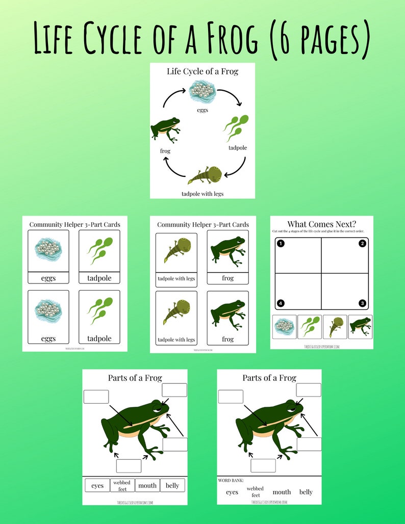 Life Cycles Printable Pack - Etsy