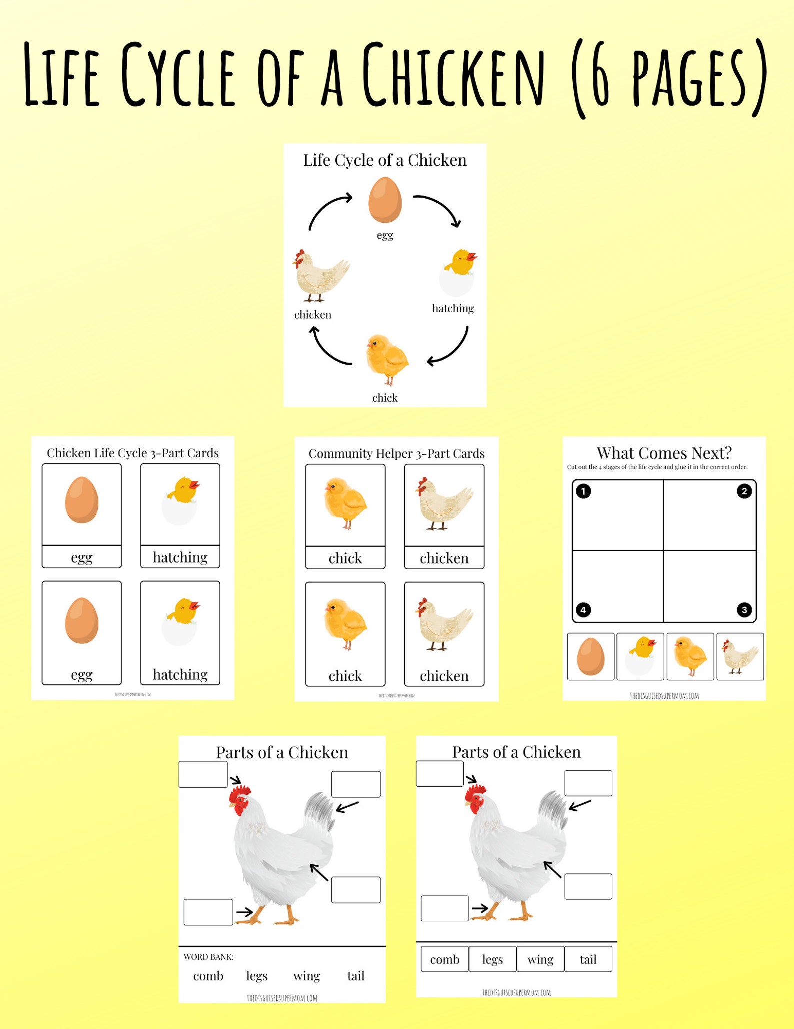 Life Cycles Printable Pack - Etsy