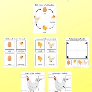 Life Cycles Printable Pack - Etsy