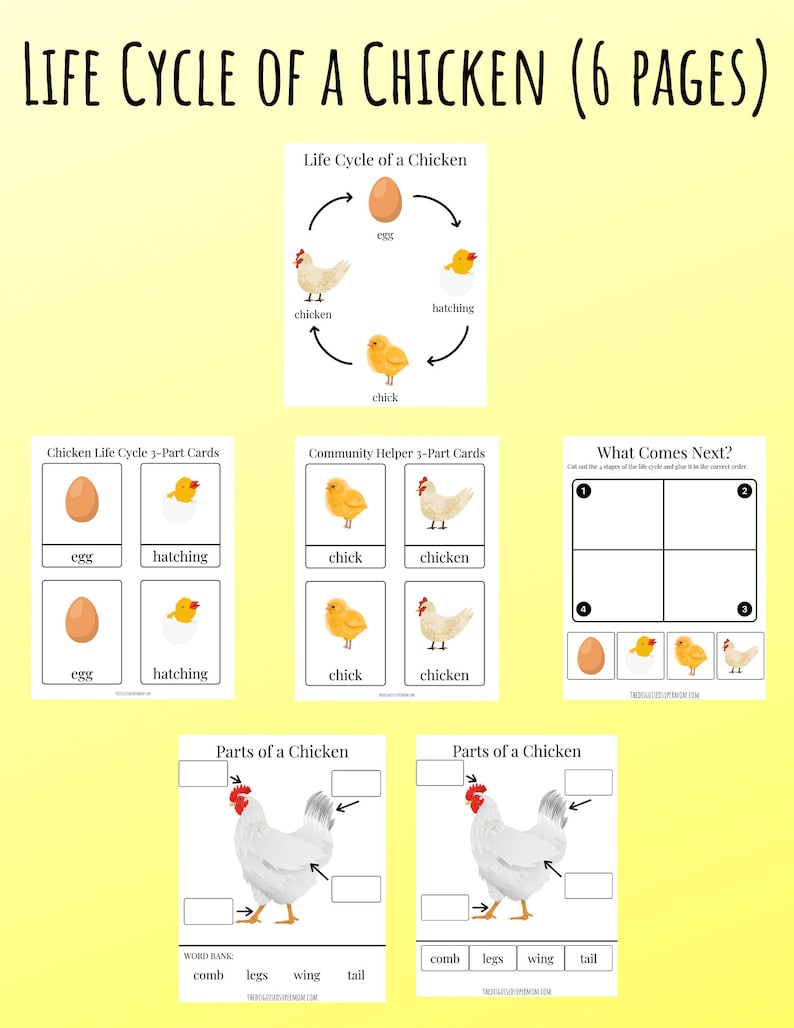 Life Cycles Printable Pack - Etsy