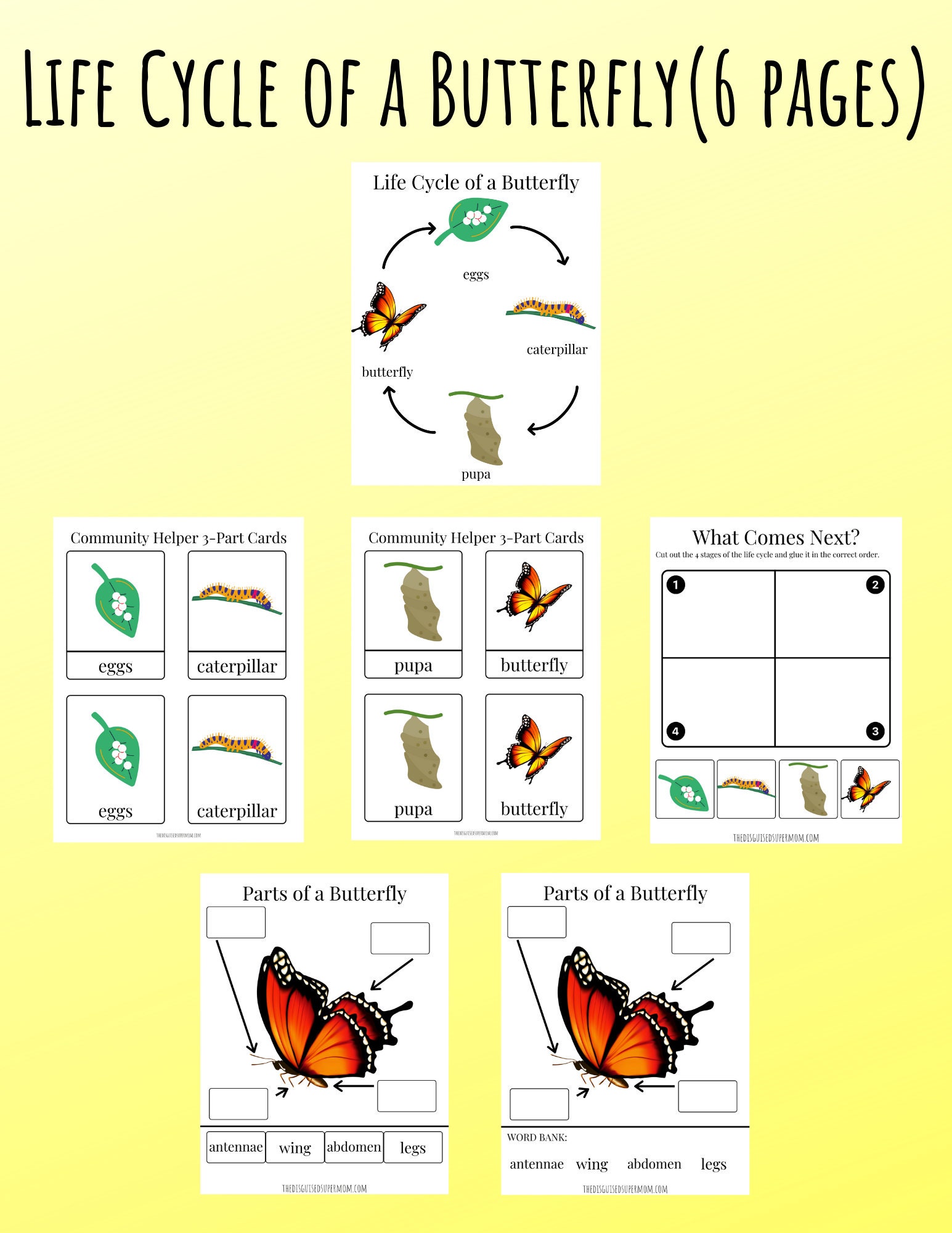Life Cycles Printable Pack - Etsy