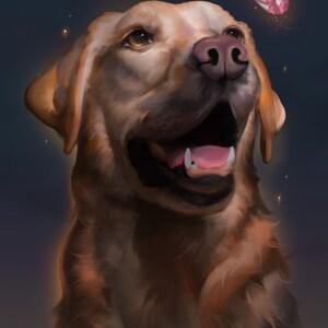 Custom Pet Portraits. Fantasy Illustration Realistic Painting for All ...