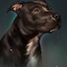 Custom Pet Portraits. Fantasy Illustration Realistic Painting for All ...