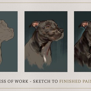 Custom Pet Portraits. Fantasy Illustration Realistic Painting for All ...