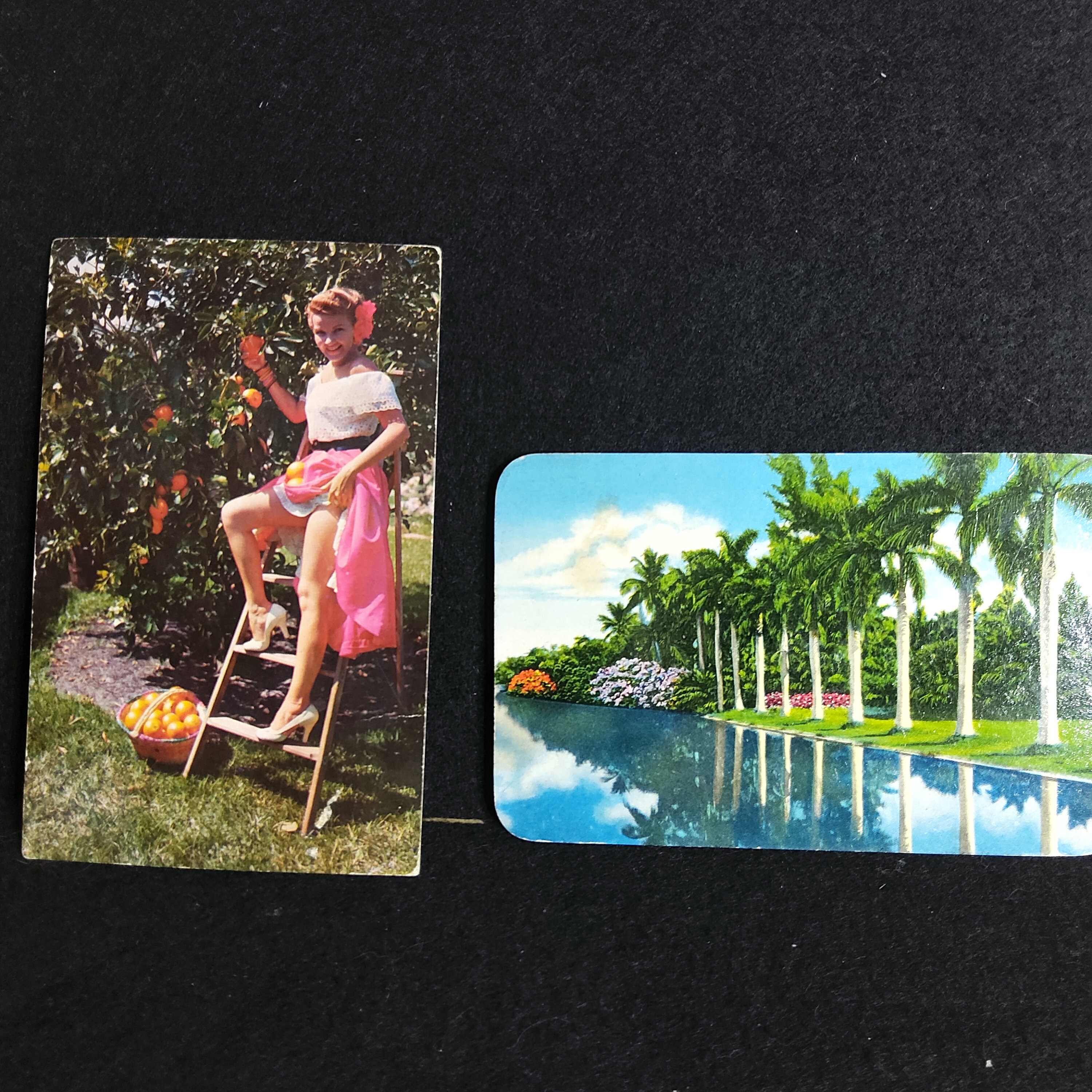 2 Vintage Florida Postcards - Etsy