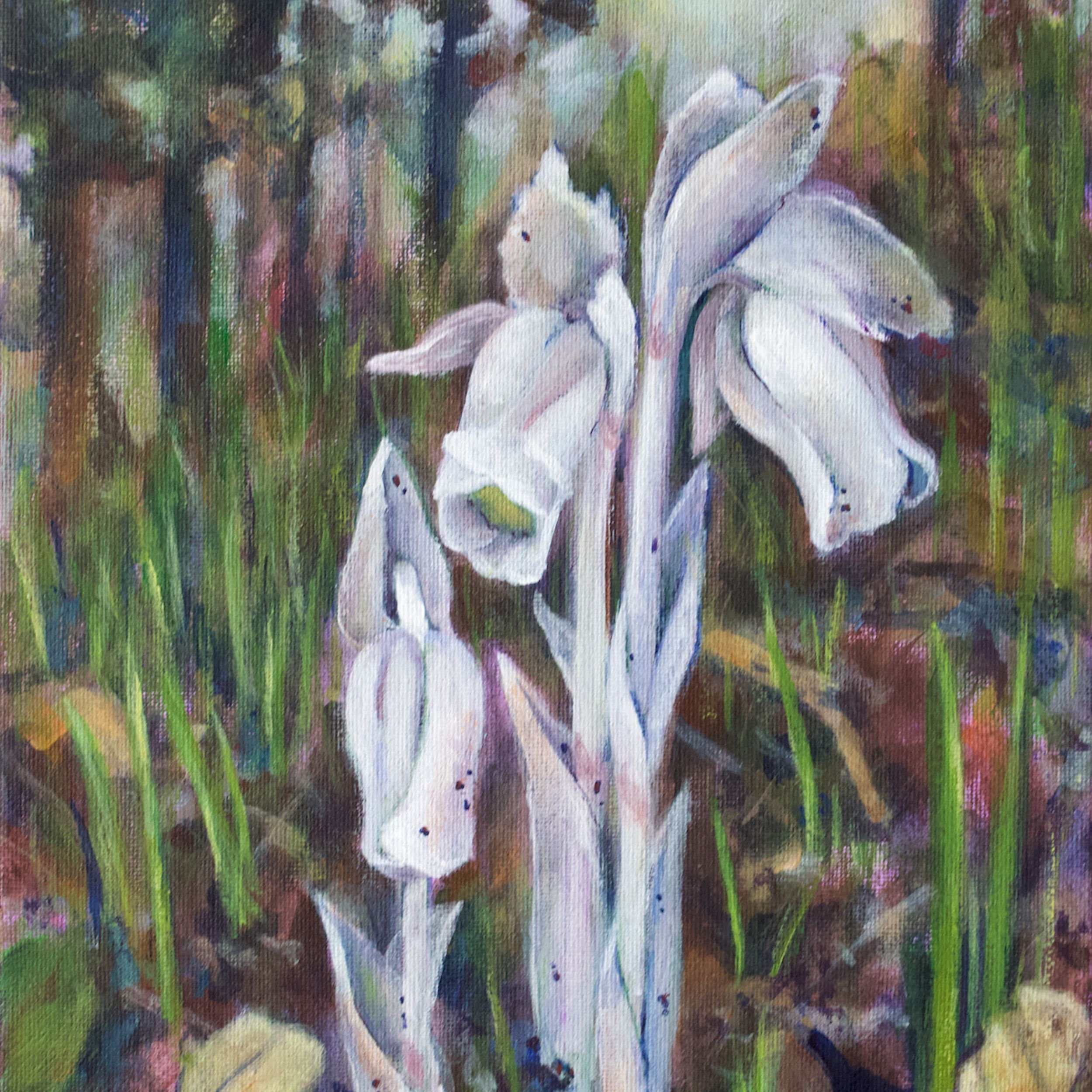 Ghost Pipe MUSHROOM ART PRINT Painting of Ghost Pipe Plant Botanical ...