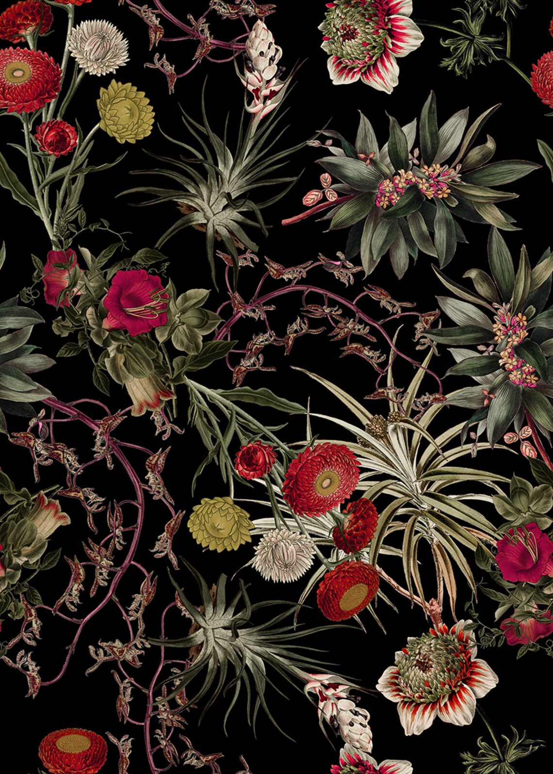 Red Flowers on Black Window Curtain, Black Curtain, Cotton, Sheen or ...