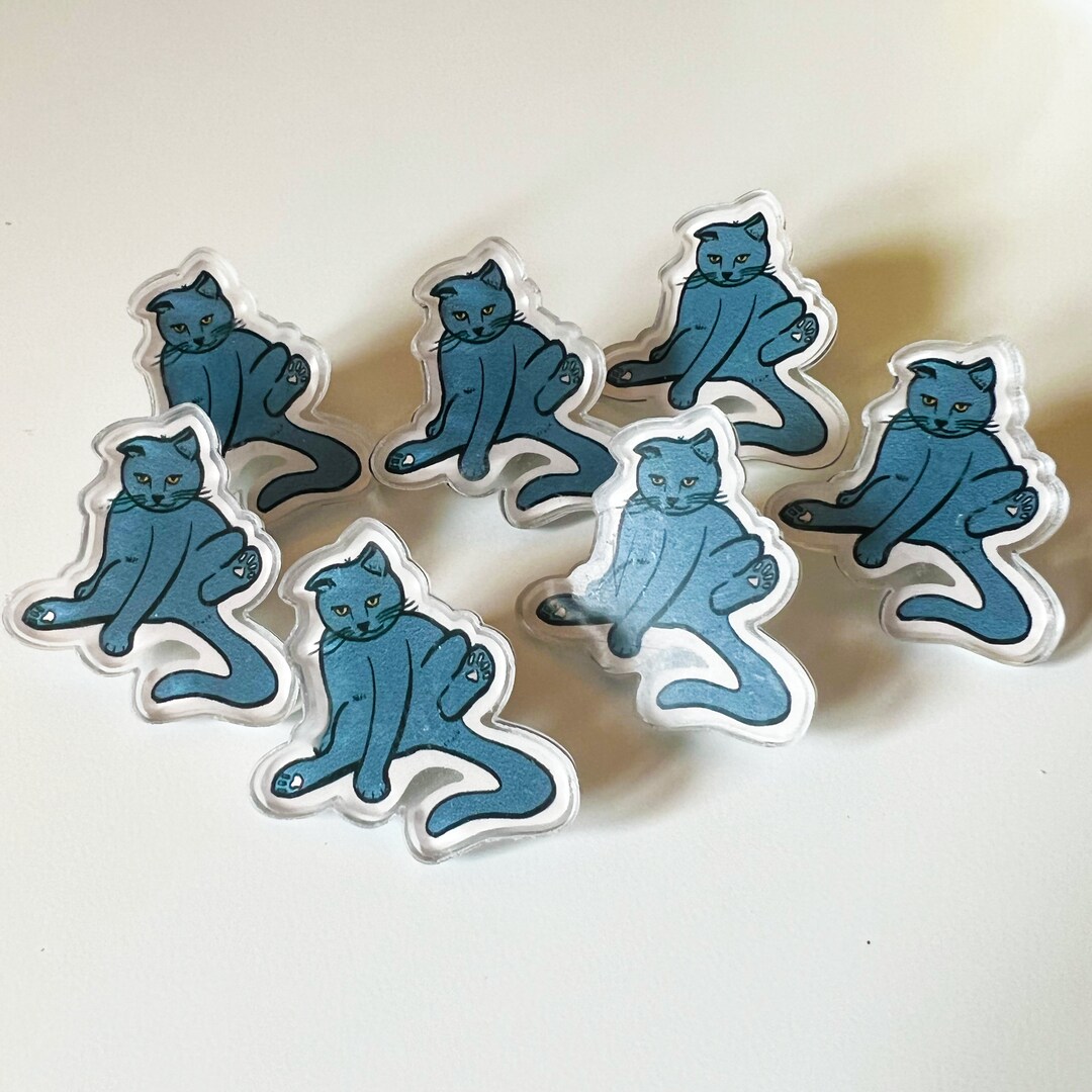 Baby Blue Pin Adorable Plastic Pin, Cat Pin, Perfect for Animal Lovers ...