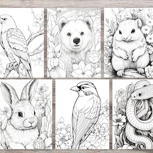 Printable Woodland Animals Coloring Pages - for Adults, Teens ...