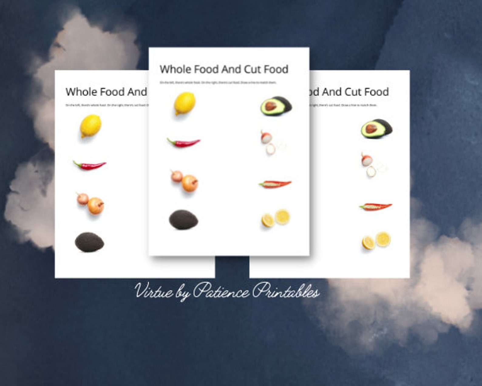 Montessori-inspired Matching Worksheets With Answer Key for - Etsy