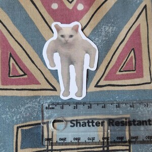 Crying Cat Meme Sticker Pack Matte Vinyl Decals - Etsy