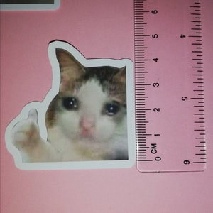 Crying Cat Meme Sticker Pack Matte Vinyl Decals - Etsy