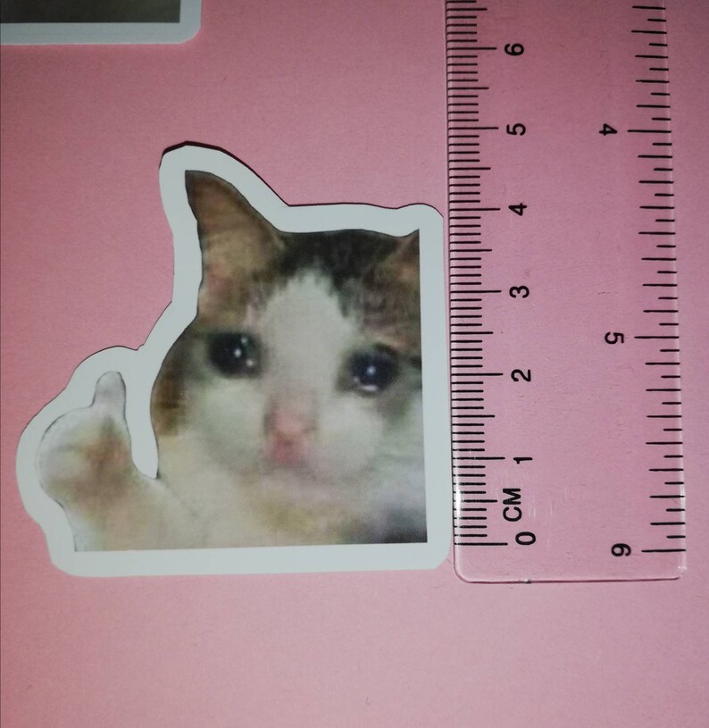 Crying Cat Meme Sticker Pack Matte Vinyl Decals - Etsy