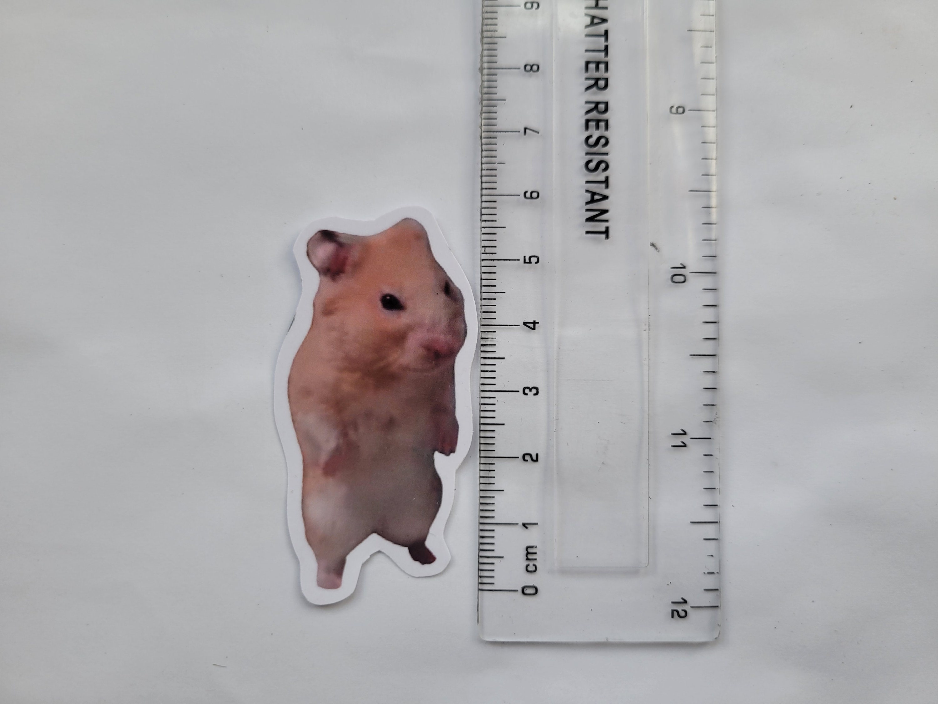 Hamster Meme Sticker Pack Gloss Vinyl Decals, Grey Bow Hamster, Scared ...