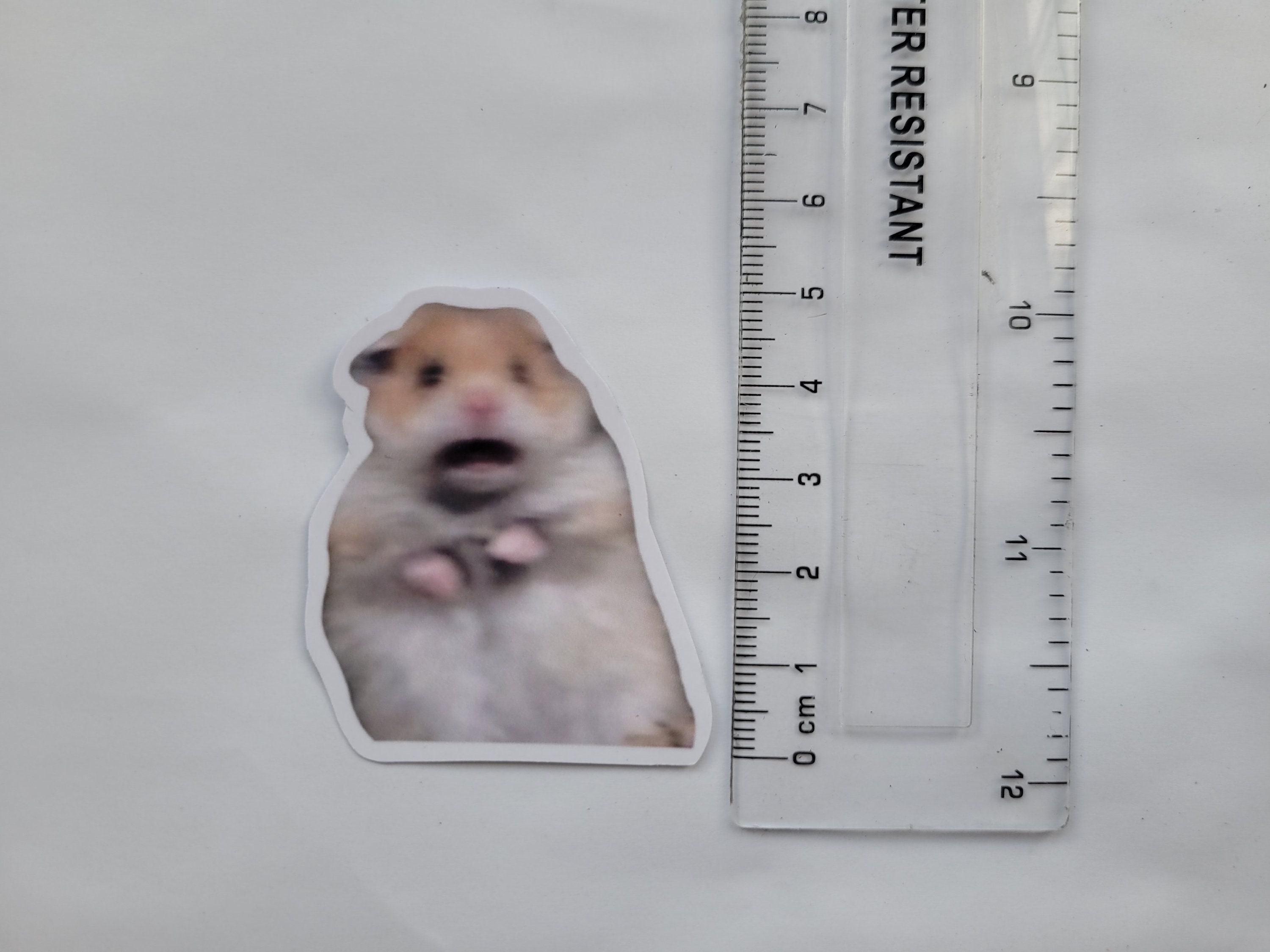 Hamster Meme Sticker Pack Gloss Vinyl Decals, Grey Bow Hamster, Scared ...
