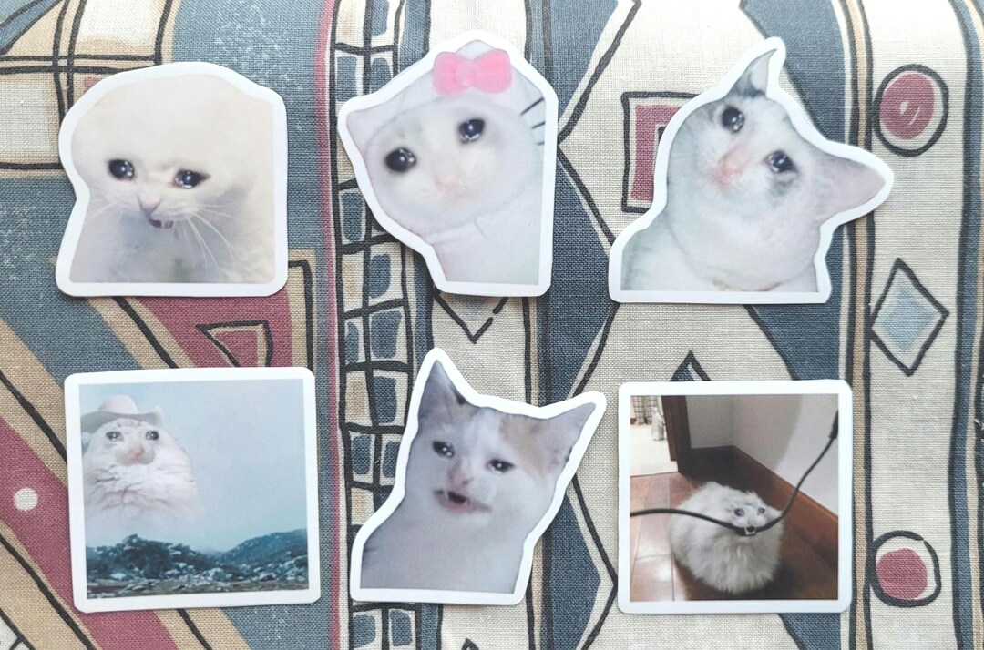 Cat Meme Sticker Pack Glossy Vinyl Decals - Etsy