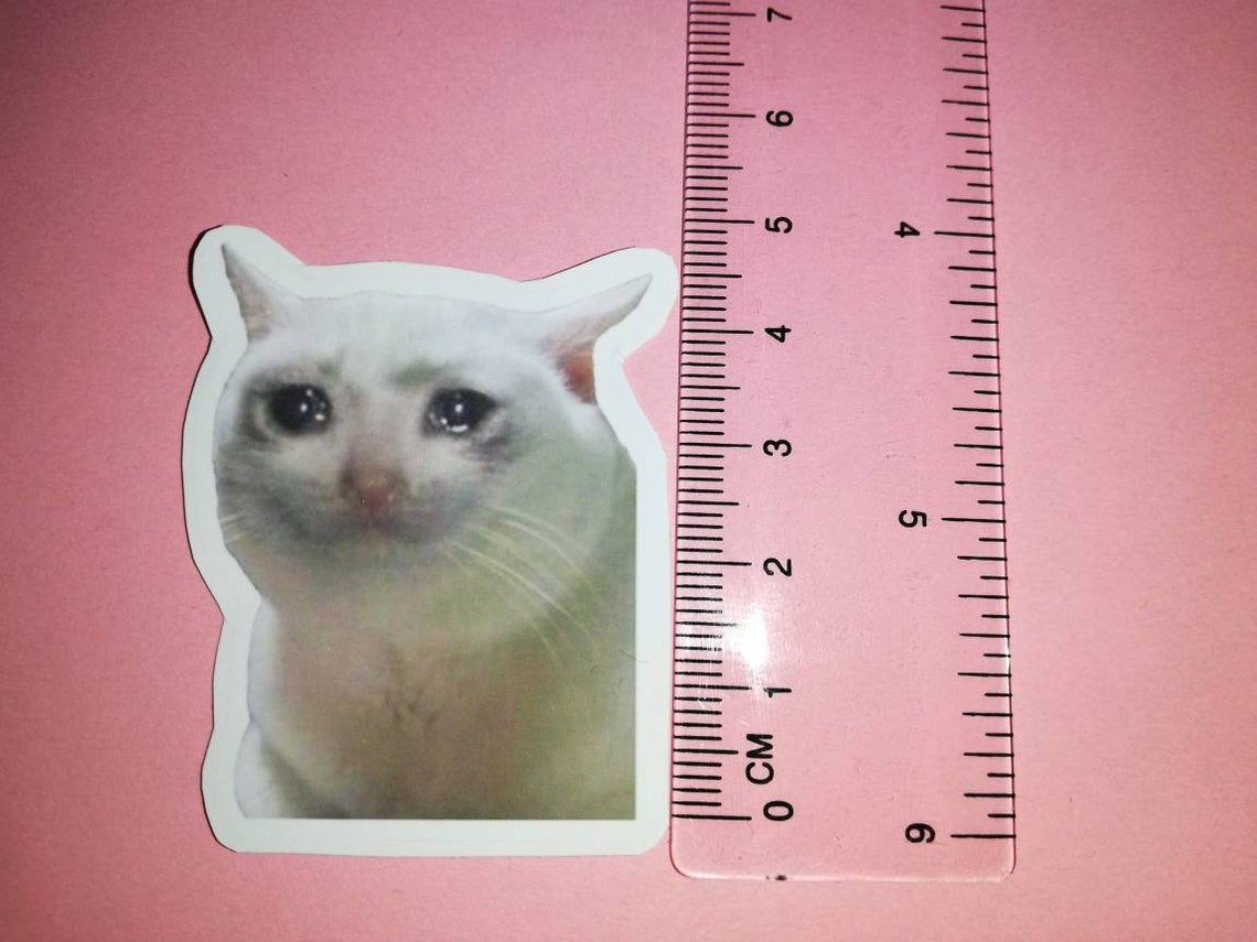 Crying Cat Meme Sticker Pack Matte Vinyl Decals - Etsy