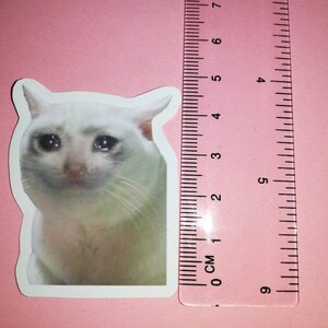Crying Cat Meme Sticker Pack Matte Vinyl Decals - Etsy