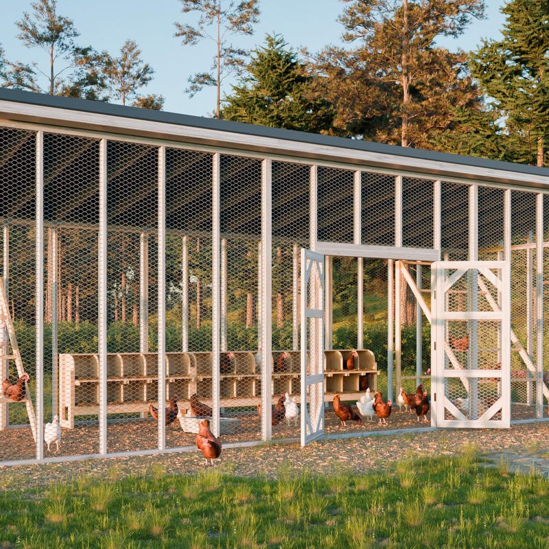 Chicken Run Dog - Etsy