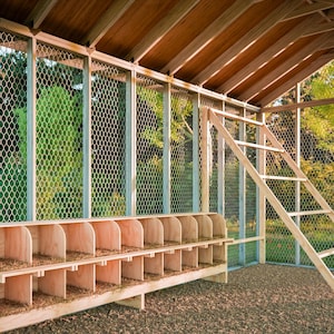 Large 10x20 Chicken Run Plans: DIY Backyard Coop (digital PDF) - Etsy