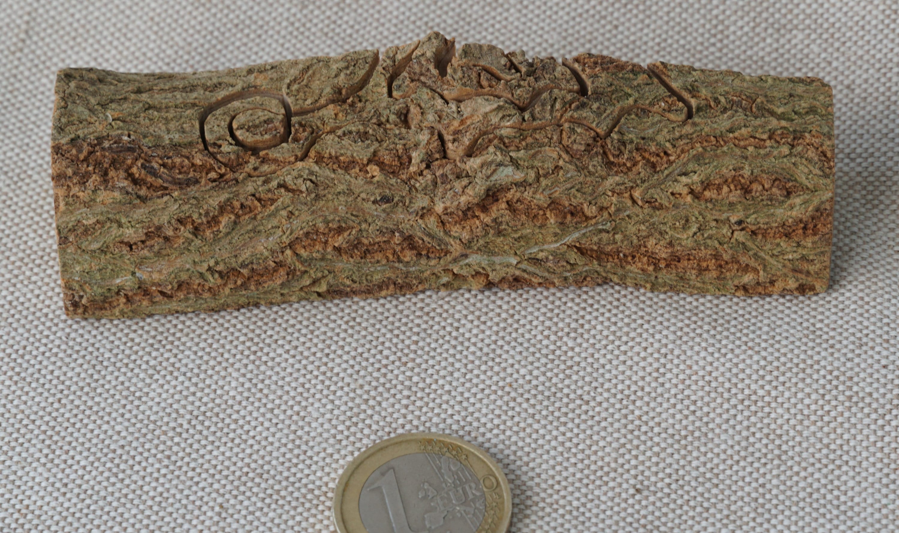 Wooden Pop up Castle Carved From a Garden Tree Log Expending Into a ...