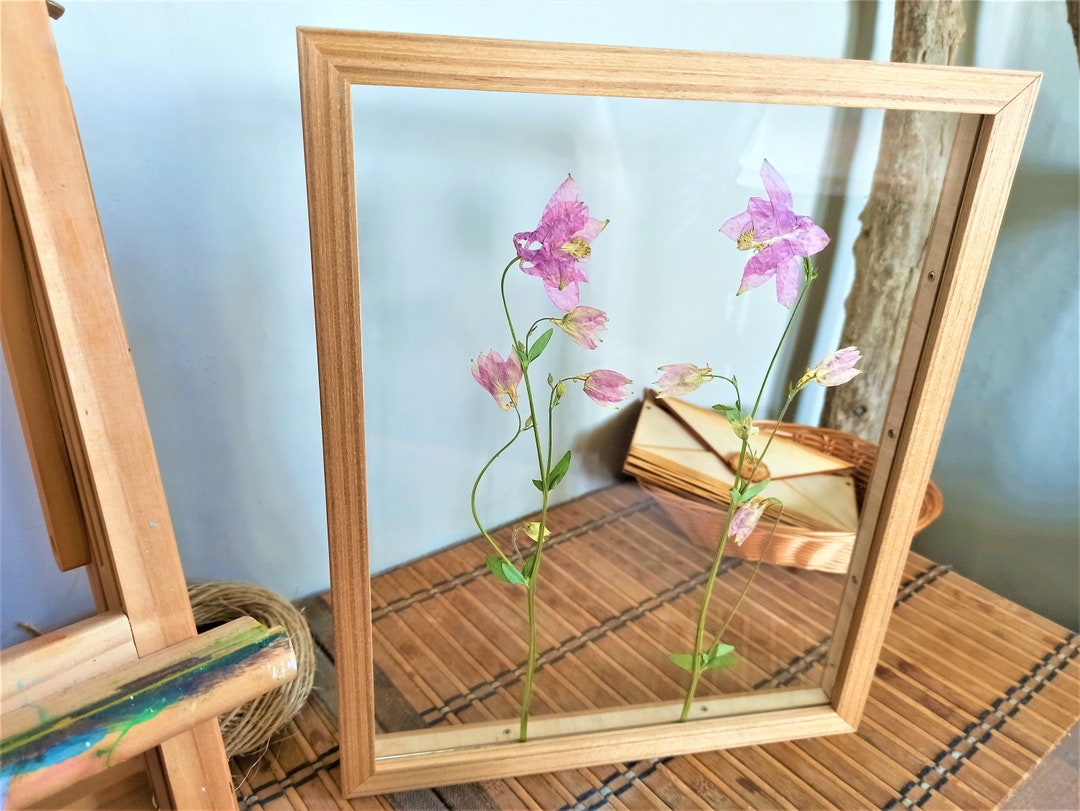 Botanical Art Columbine Herbarium Pink Columbine Wall Decor - Etsy