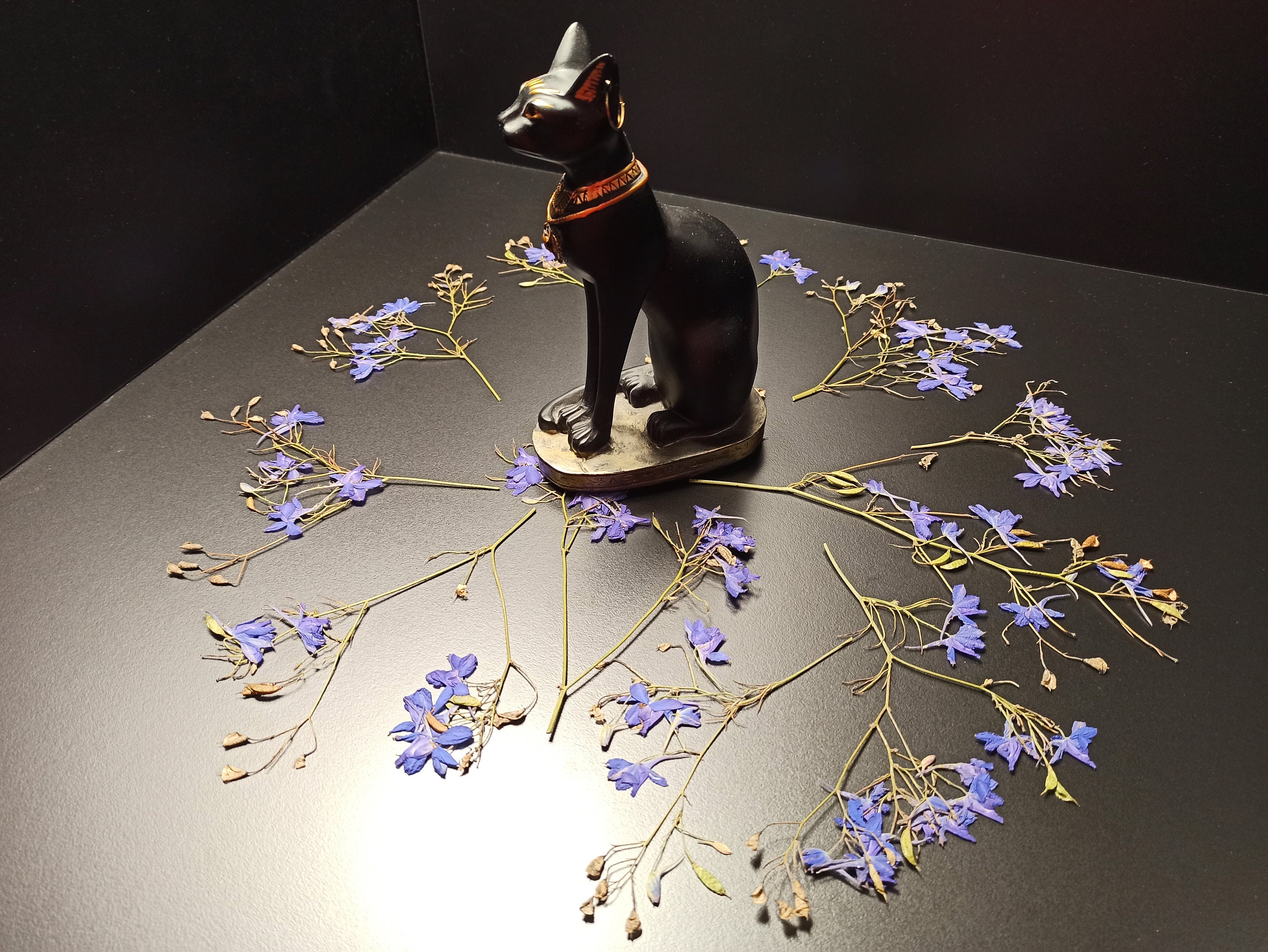 Pressed Blue Flower Pressed Blossoms Pressed Flowers Pressed Blue Dried ...