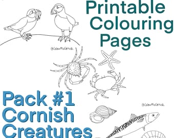 Cornish Phrases PDF Printable Coloring Book Pages | Etsy