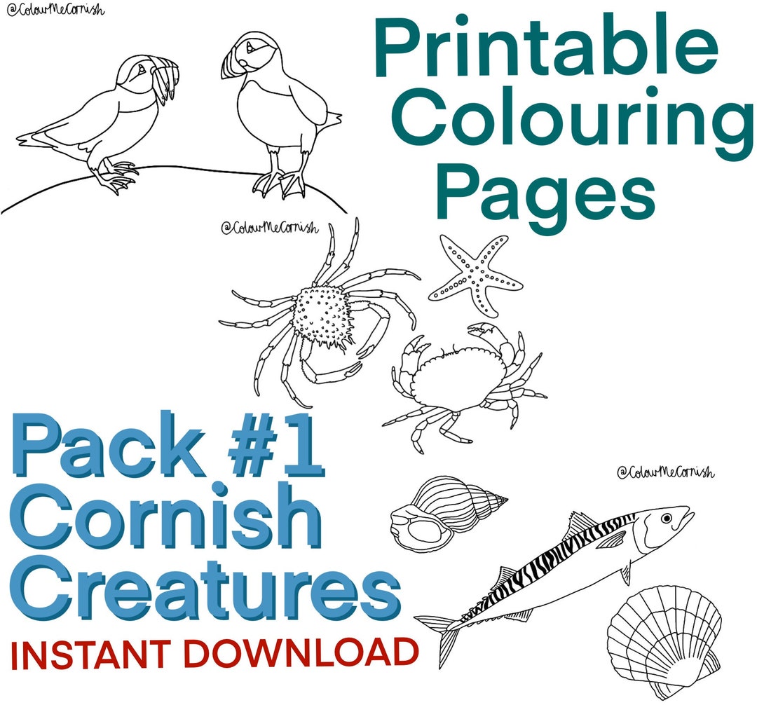 Cornish Creature PDF Printable Coloring Book Pages - Etsy UK