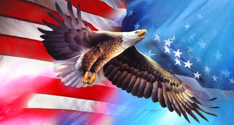 Soaring Eagle With American Flag Silk Worship Flag Etsy