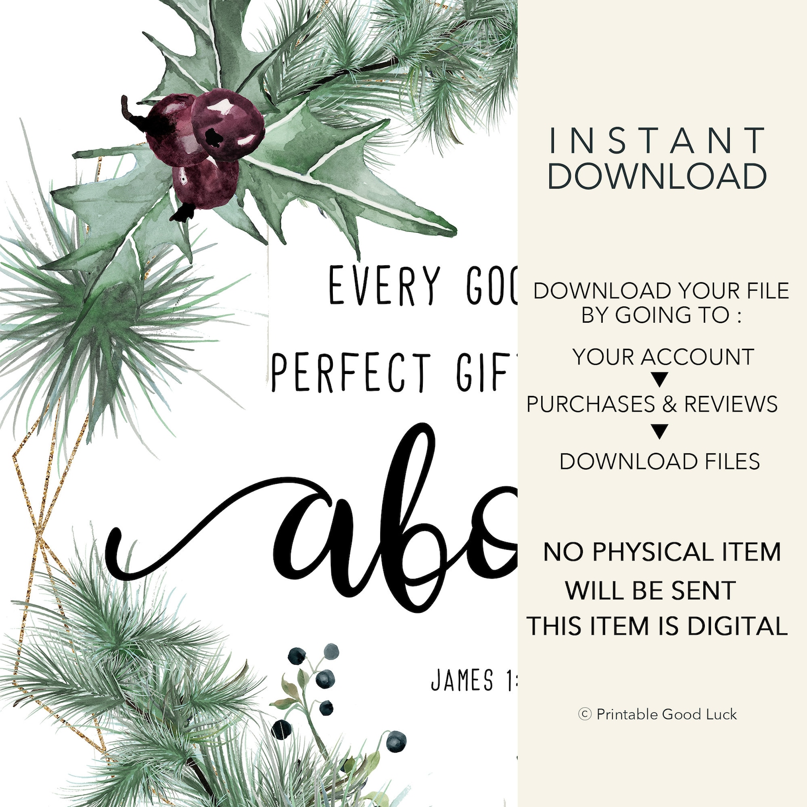 James 1:17 Christian Wall Art Bible Verse Wall Art Christmas - Etsy