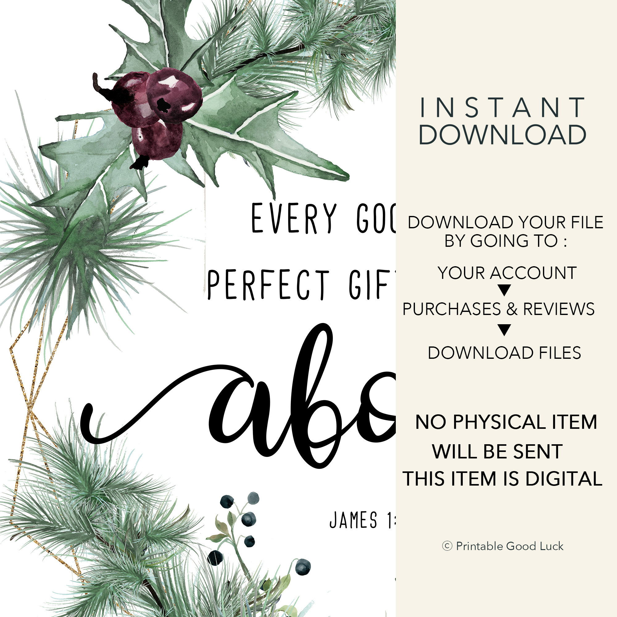 James 1:17 Christian Wall Art Bible Verse Wall Art Christmas - Etsy