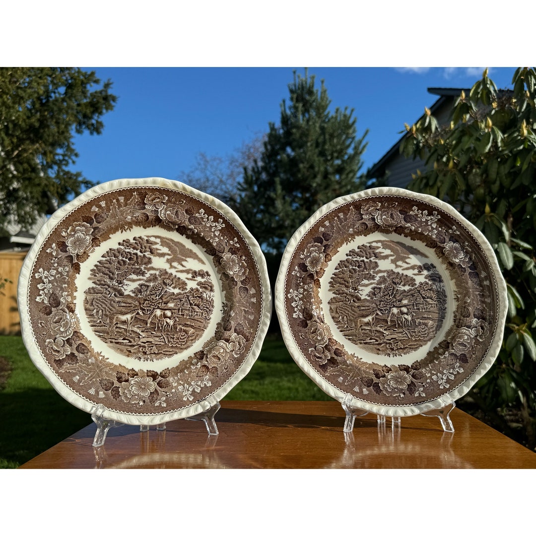 Vintage Real English Ironstone English Scene Round Dinner Plate ...