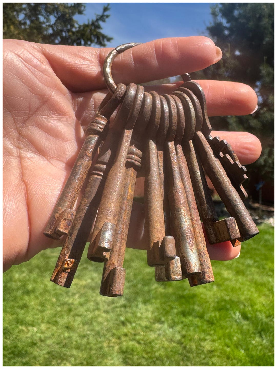 Antique Italian Skeleton Keys | Set of 12 Rustic Iron Barrel Keys From ...