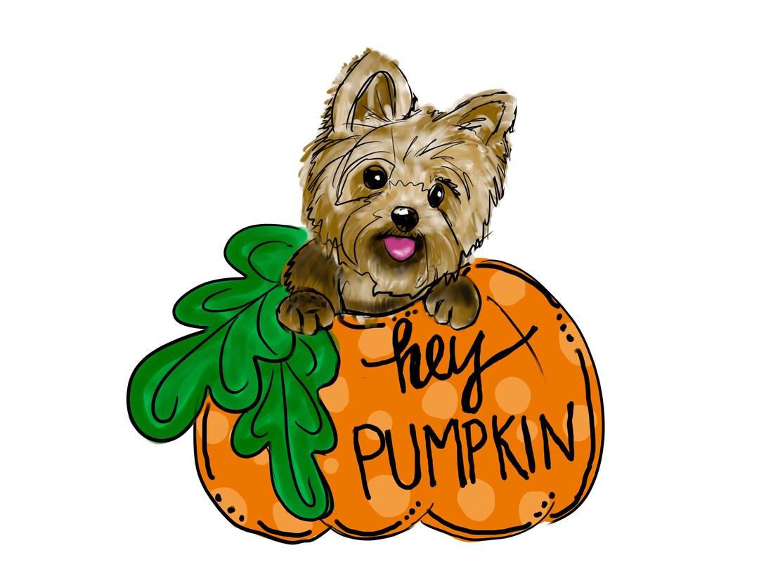 Yorkie Pumpkin TEMPLATE - Etsy