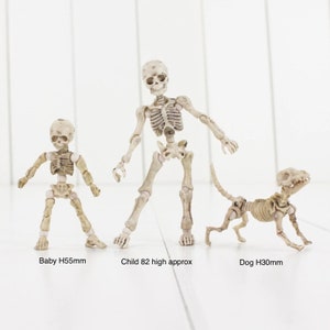 Skeleton Action Figures - Skeleton Dog - Skeleton Child - Skeleton ...