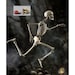 Mini Skulls Mini Bone Skull Figure Big Pile of Bones 12th Scale ...