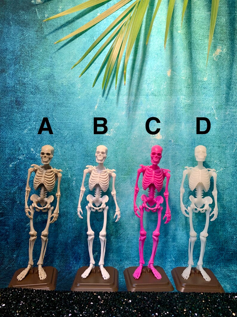 Skeleton Action Figure Joint Movable Anatomical Model - Etsy