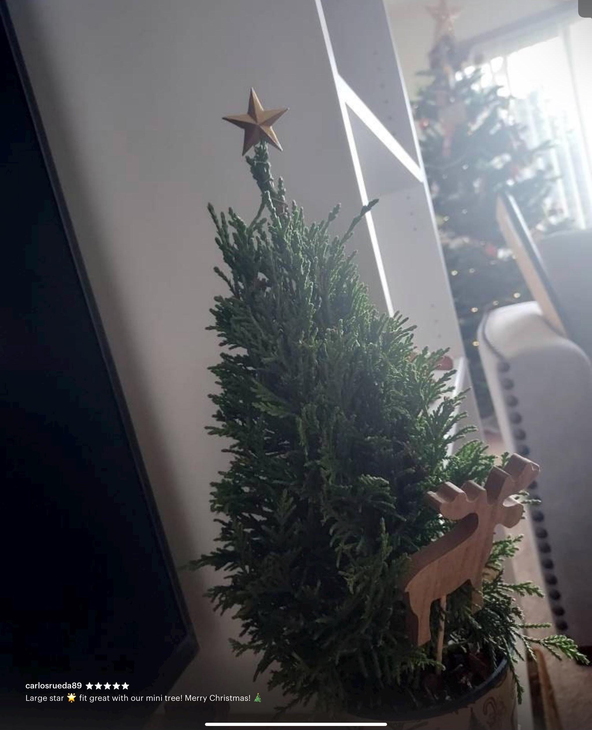 Mini Star - Miniature Christmas Star - Tree Topper - Dollhouse ...